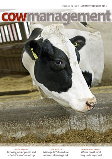 CowManagement Magazine | Dairy Business Magazine Subscription