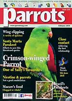 Parrots Magazine Subscription | Animal Magazine Subscription